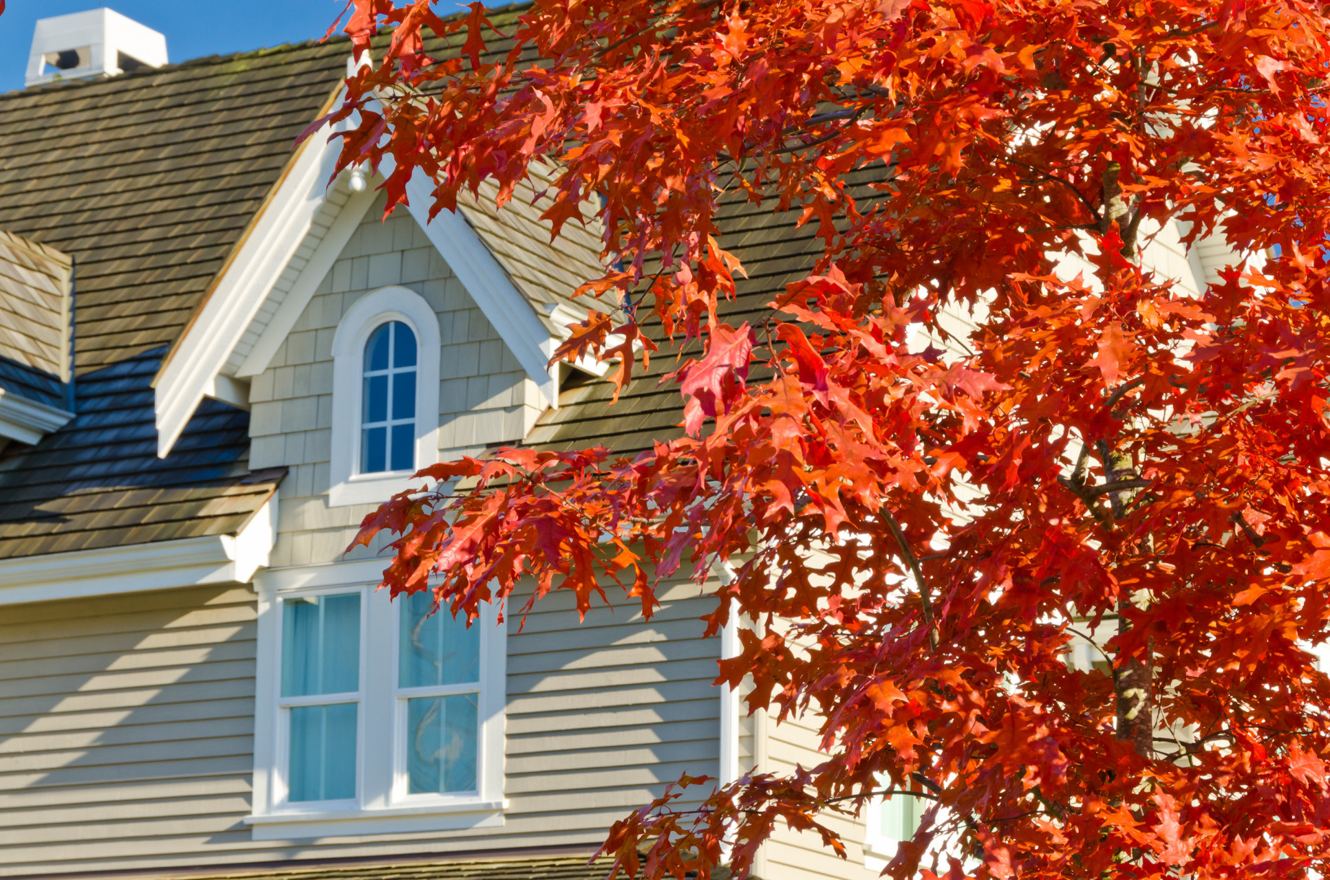 Why You Should Repair Your Roof in the Fall- Five Points Roofing